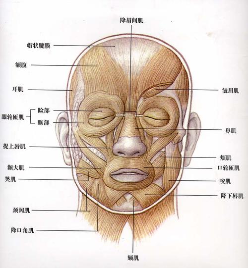 为什么一个月了脸部老是怪怪的