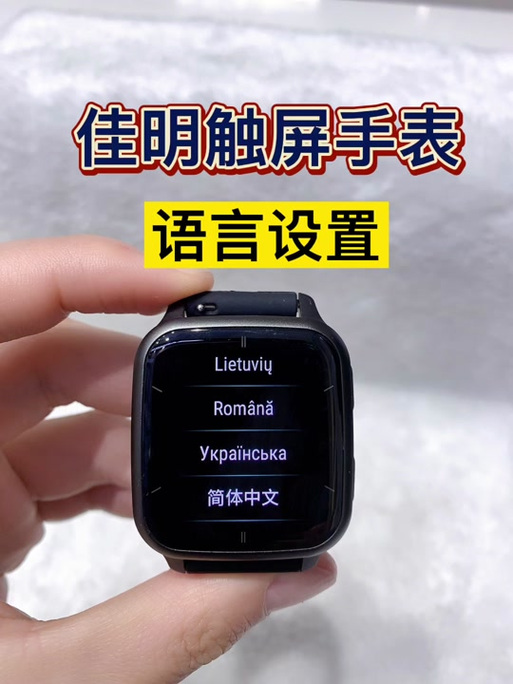 watch怎么调成中文图标