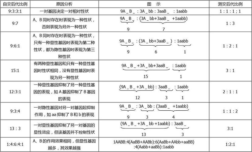 概念变式图标