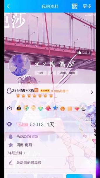 qq黄钻到期了隐身访问会被发现吗截图