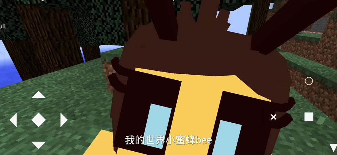 我的世界蜜蜂模组图标