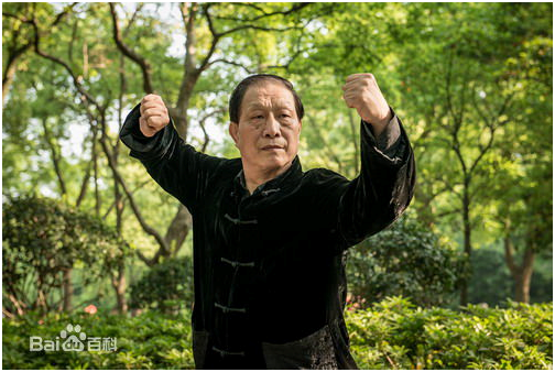 武林活拳截图
