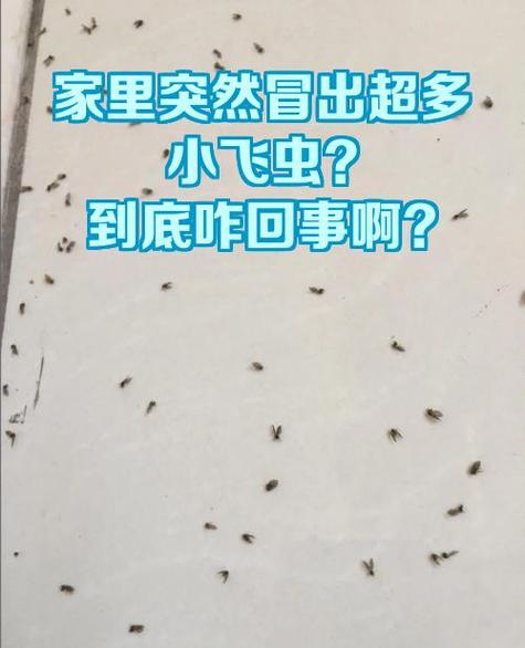 家里小飞虫很多怎么处理干净图标