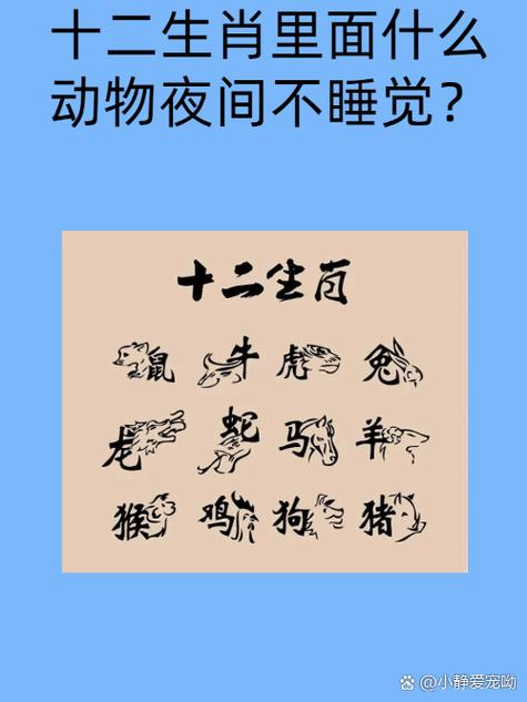晚上怎么让仓鼠安静图标