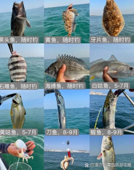 全民钓鱼海王钓竿怎么获得图标