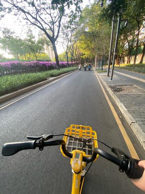 小黄车可以跨区骑吗截图
