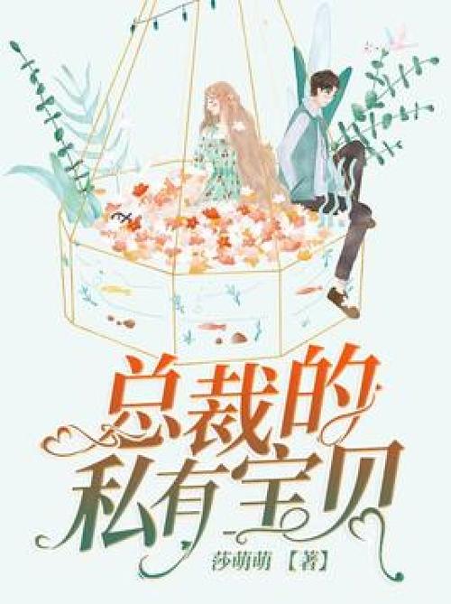 总裁的私有宝贝陆北辰图标