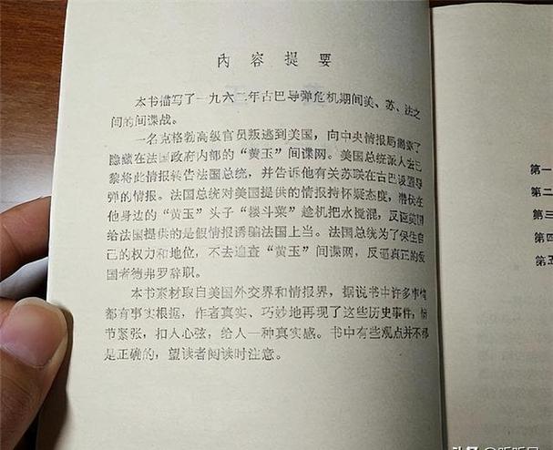 潜伏的风流间谍小说图标