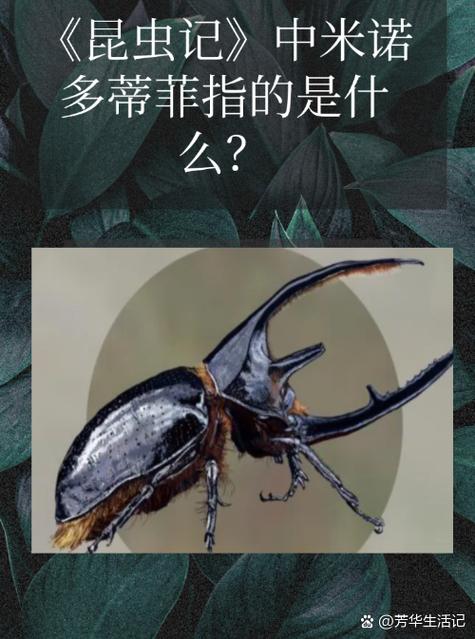 2025灾难片《昆虫》截图