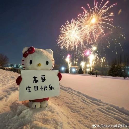 高野宏的出生日期截图