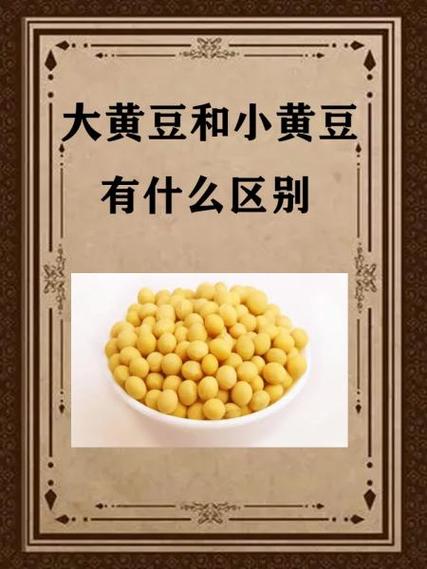 大黄豆和小黄豆哪个好图标