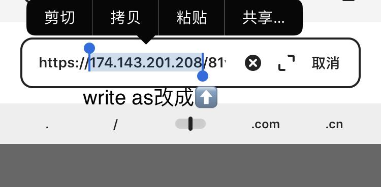 write as 放置截图