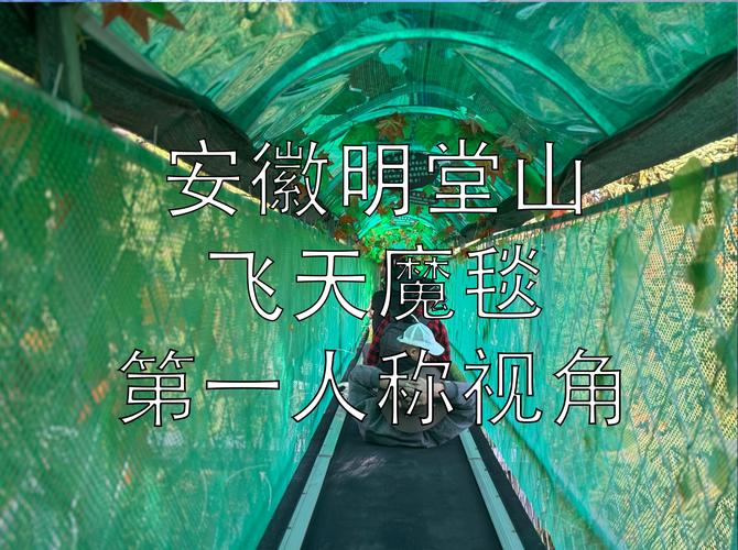 为啥PUBG比赛仅限第一人称截图