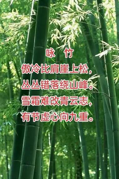 李白的诗《咏竹》图标