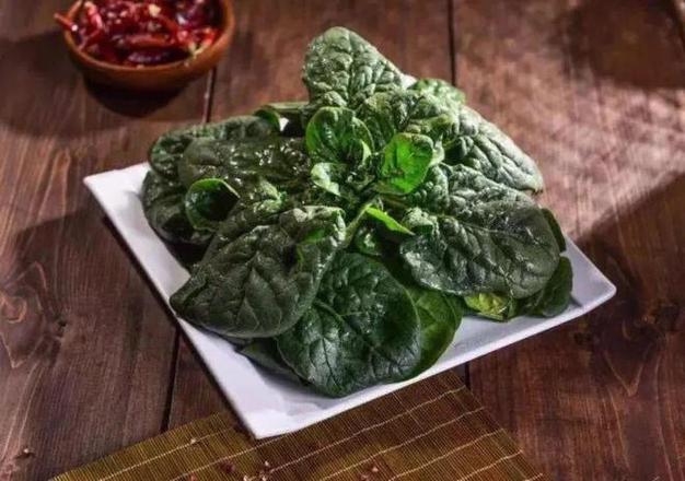 笨菠菜百度百科图标