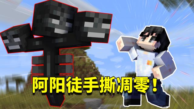 我的世界阿阳1.16图标