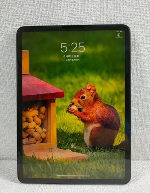 21款ipadpro是第几代图标
