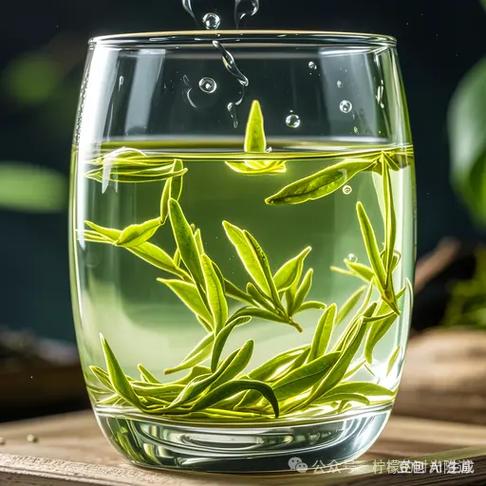 白茶图片大全大图图标