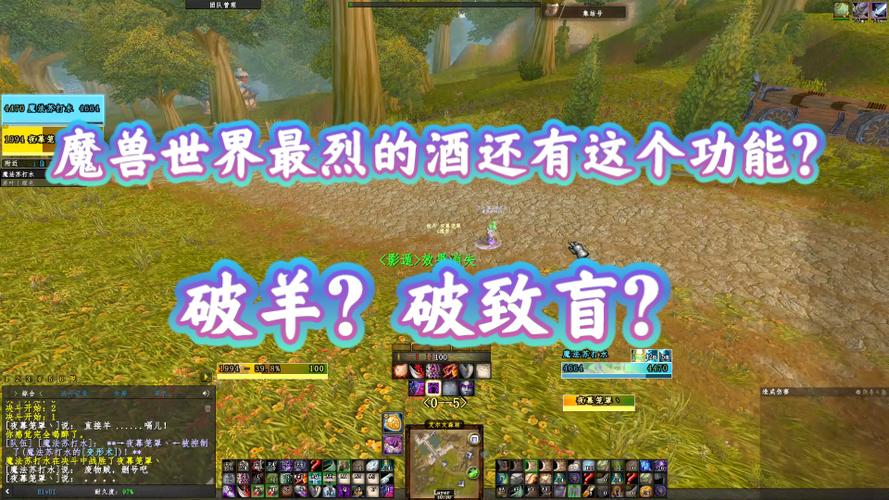 60级破法师羊的道具截图