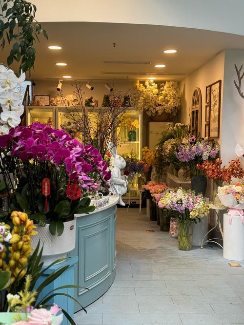 开鲜花店最忌三个地方截图