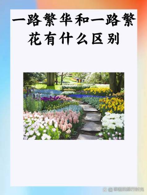 心有繁花一路芳华意思截图