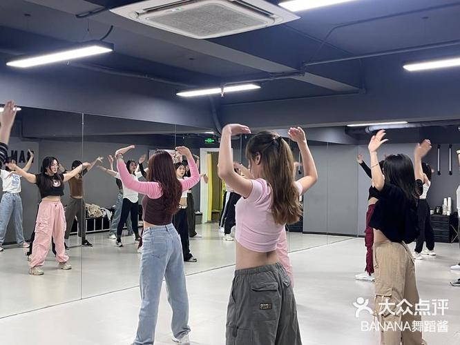 在线舞蹈课截图