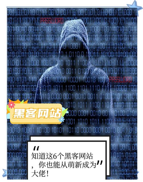 黑客网络新手攻略截图