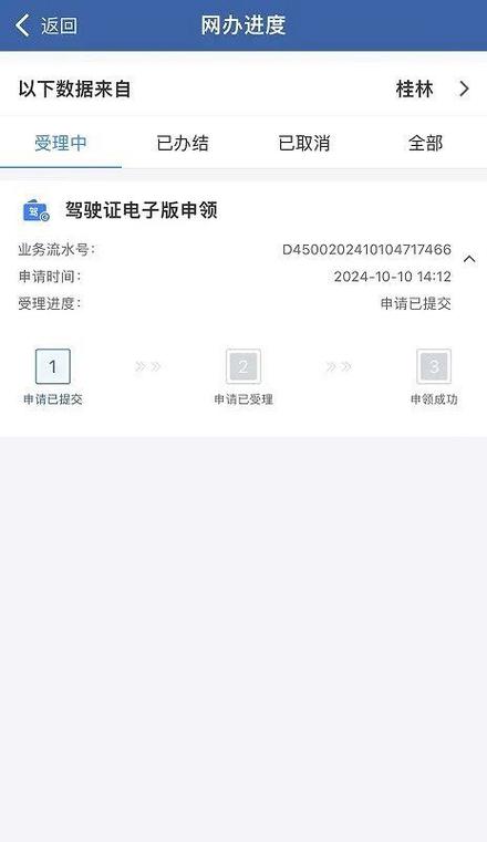 下载电子驾驶证截图