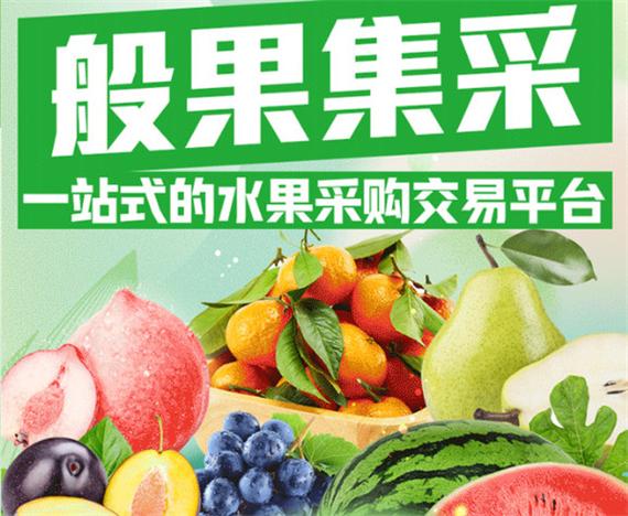 中国水果交易网图标