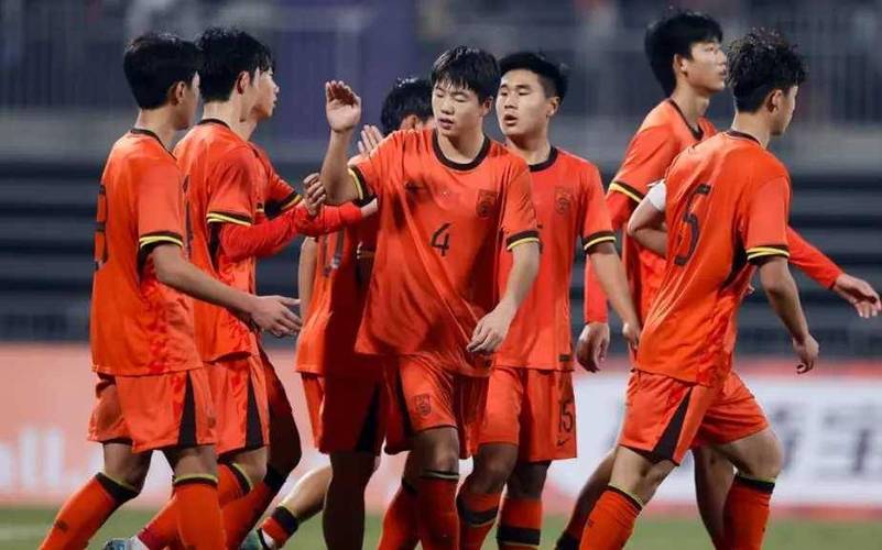 u17亚洲杯直播爱奇艺体育图标