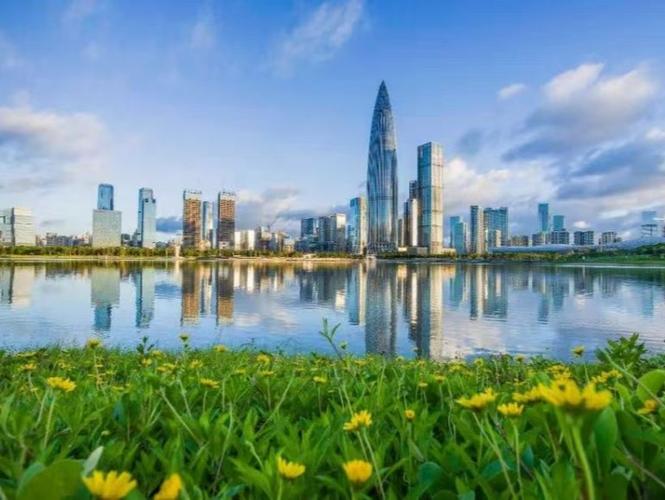 深圳十大风投公司排名图标