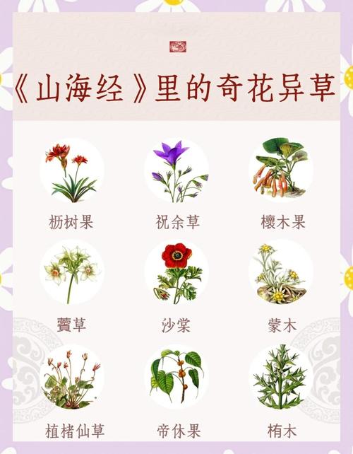 海草的功效与作用图标