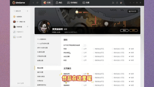 怎么隐藏wegame历史战绩图标