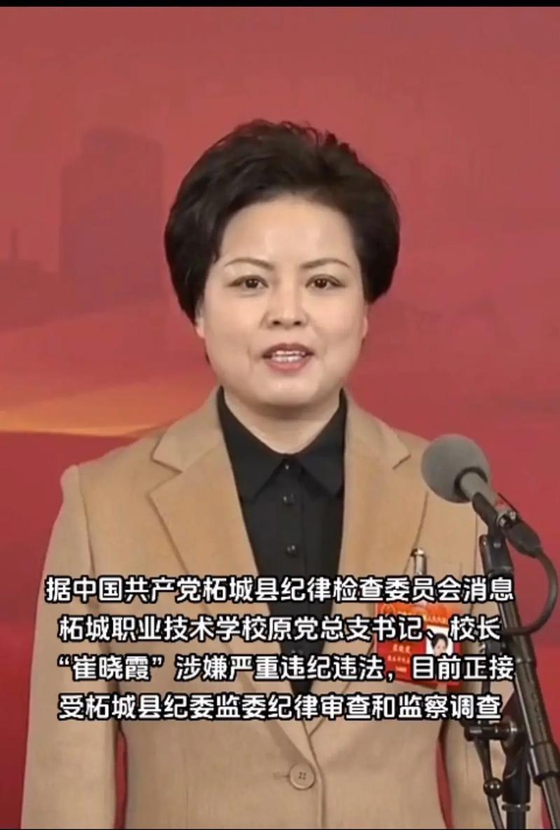崔晓霞个人简介资料图标