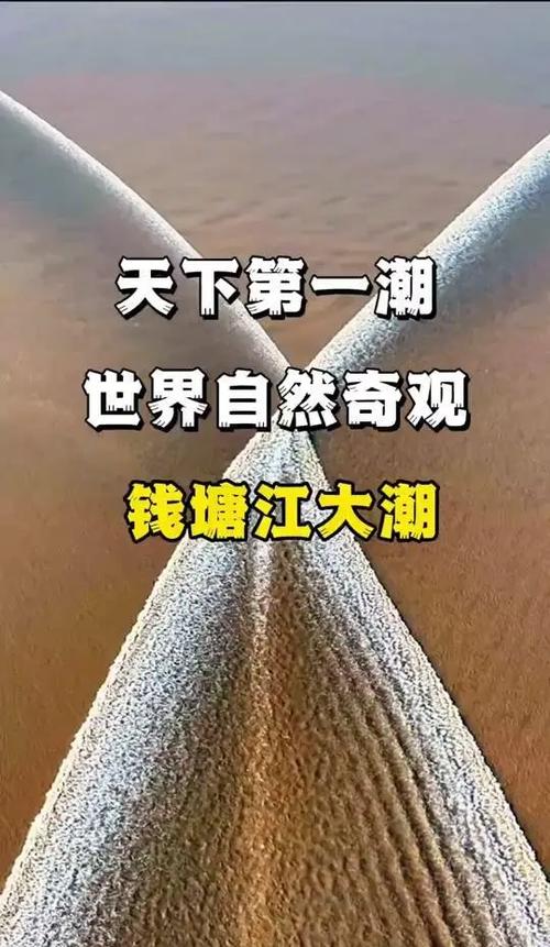 全球潮汐免费图标