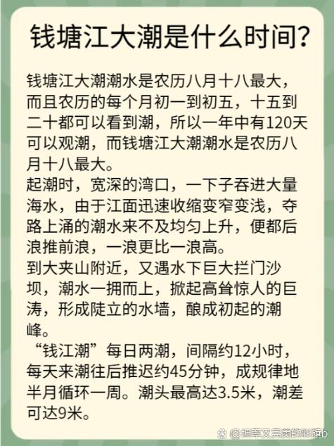 什么时候大潮截图