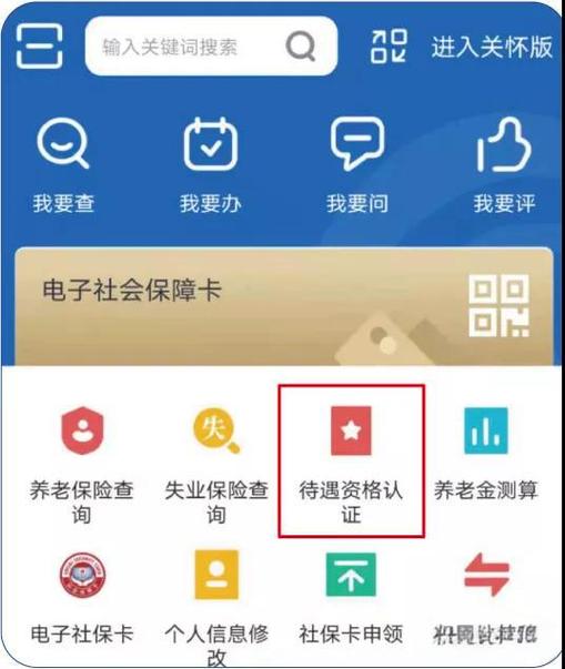河北养老认证是哪个软件图标