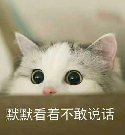 不敢说话表情包图标