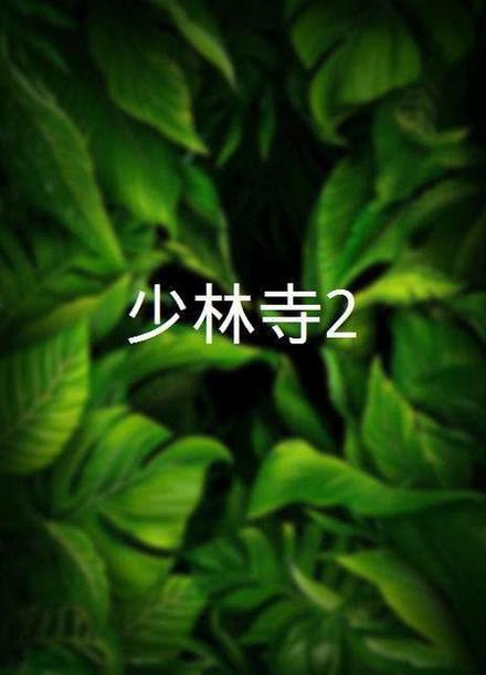 少林寺2图标
