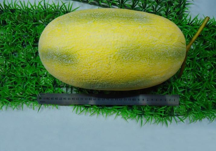 melon是什么水果图标