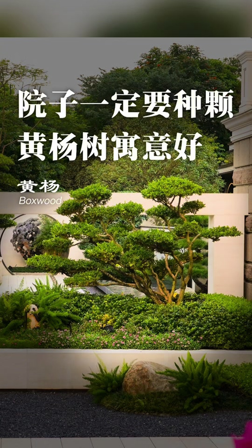 屋后最旺三种树图标