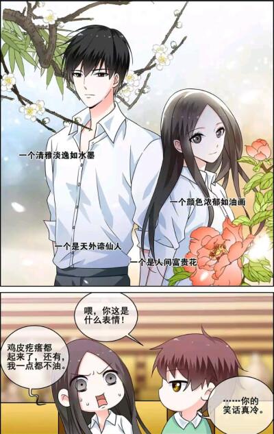 微微一笑很倾城动漫全集图标