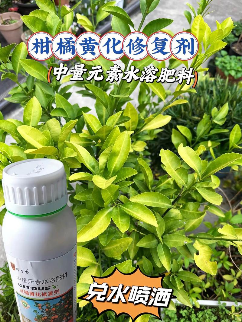 柑橘专用黄化宝图标
