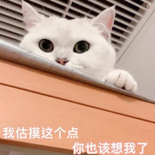 聊天配图表情包软件截图