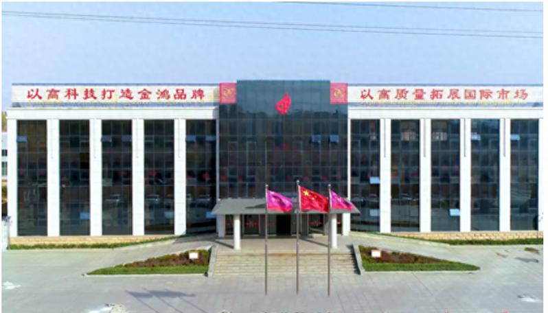 金鸿控股 股票图标