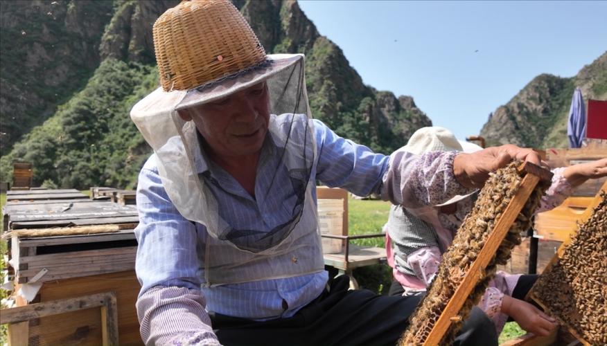 销售小蜜蜂干什么截图
