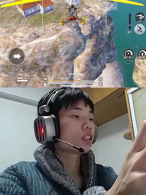 鲨鱼top和平精英画质图标