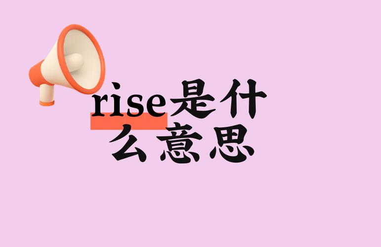 rise用法图标