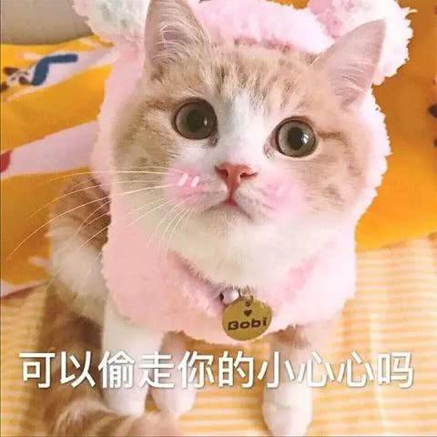 逗人开心撩人表情截图
