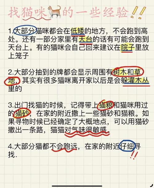 找小猫110关攻略图文详解图标